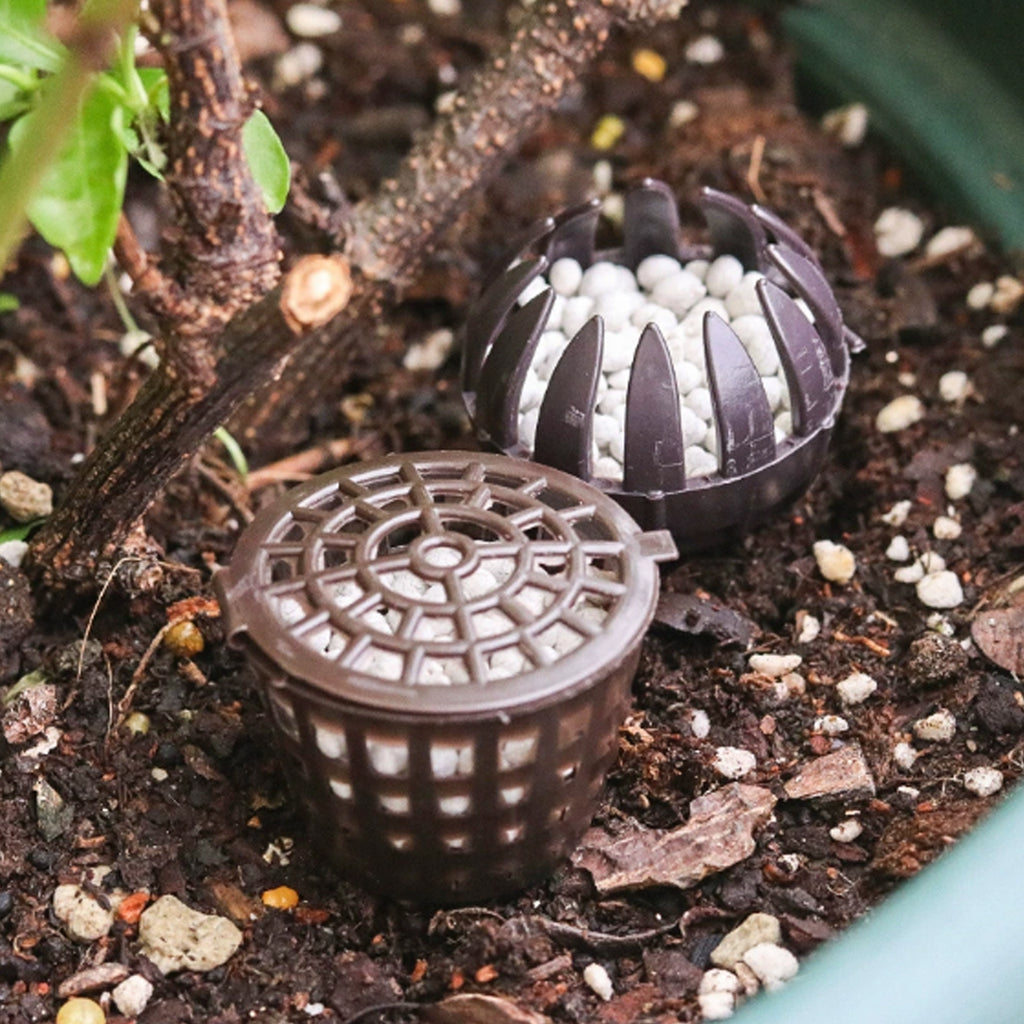 Fertilizer Baskets #4 Set of 25Pcs – Orchidmart