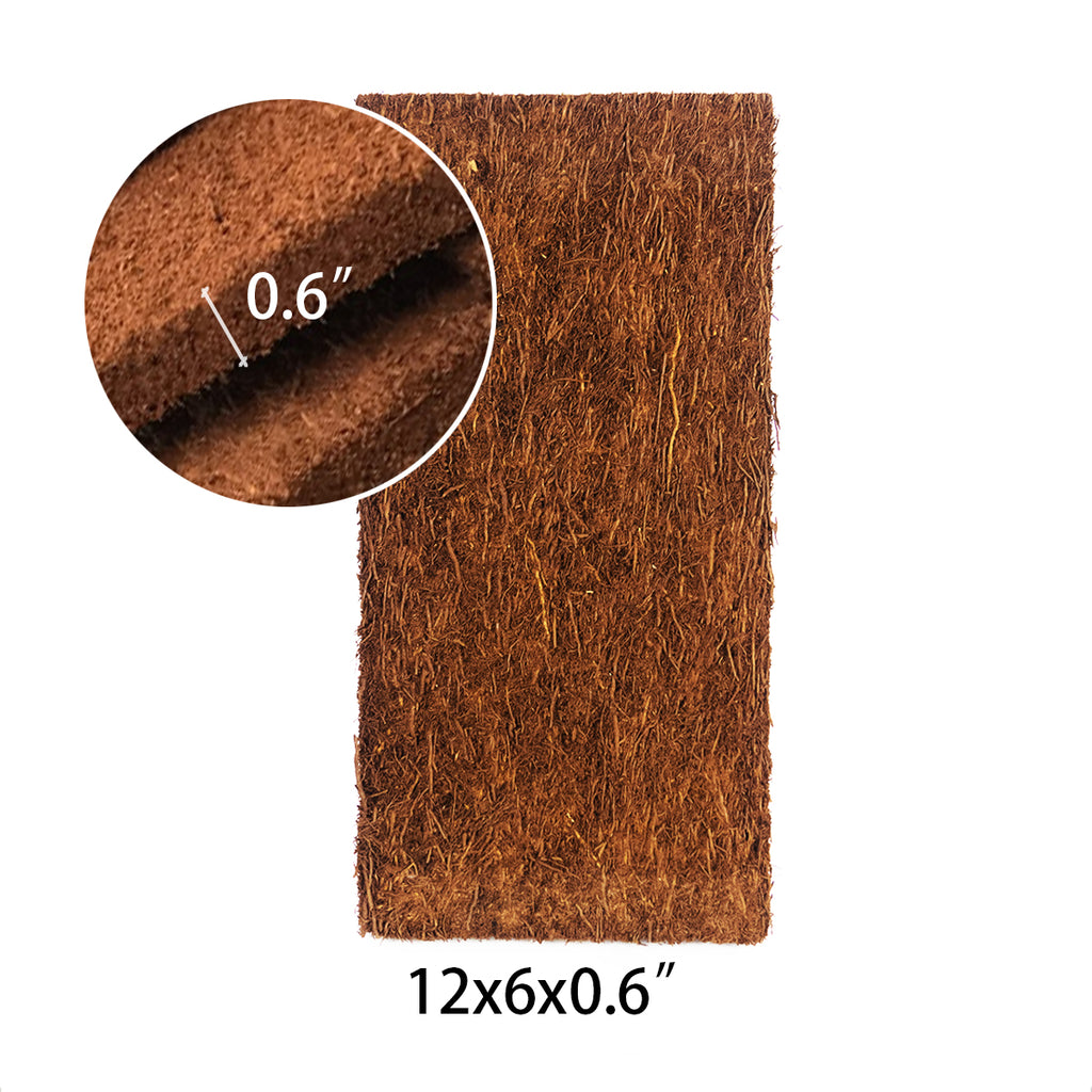 TREE FERN PANEL 12x6x0.6 蛇木板 – Orchidmart