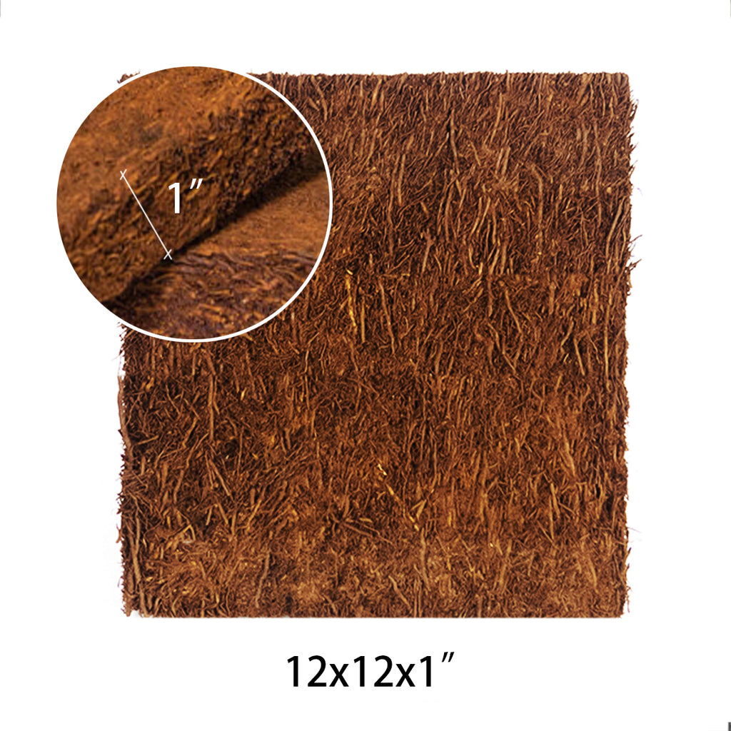 TREE FERN PANEL 12x12x1 蛇木板 – Orchidmart