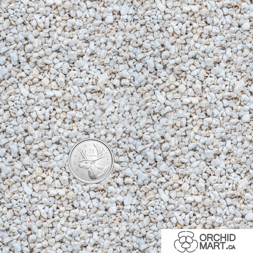 [Shippable] Perlite #2 1-5mm 小號珍珠岩 3.6L – Orchidmart